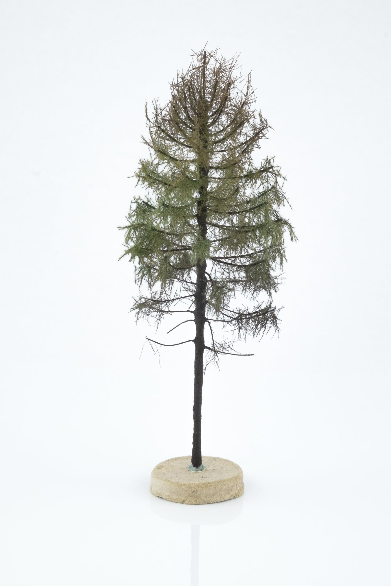 Dry Larch Tree Model 14-16 cm | Primo Models - Best Model Scenery